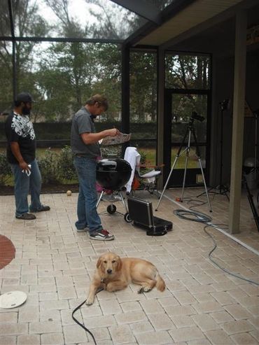 Tips and Ideas - Good Behavior DogTraining | Good Behavior Dog Training