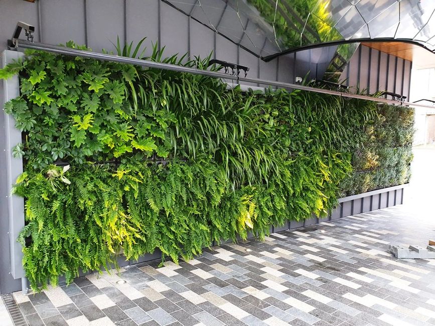 About The Canopy | The Canopy - Lane Cove