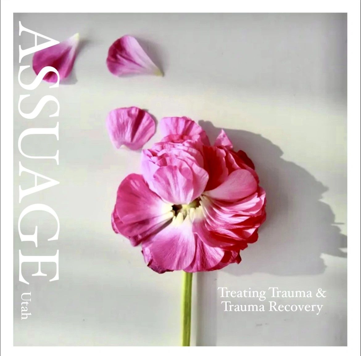 Welcome [assuage.health]