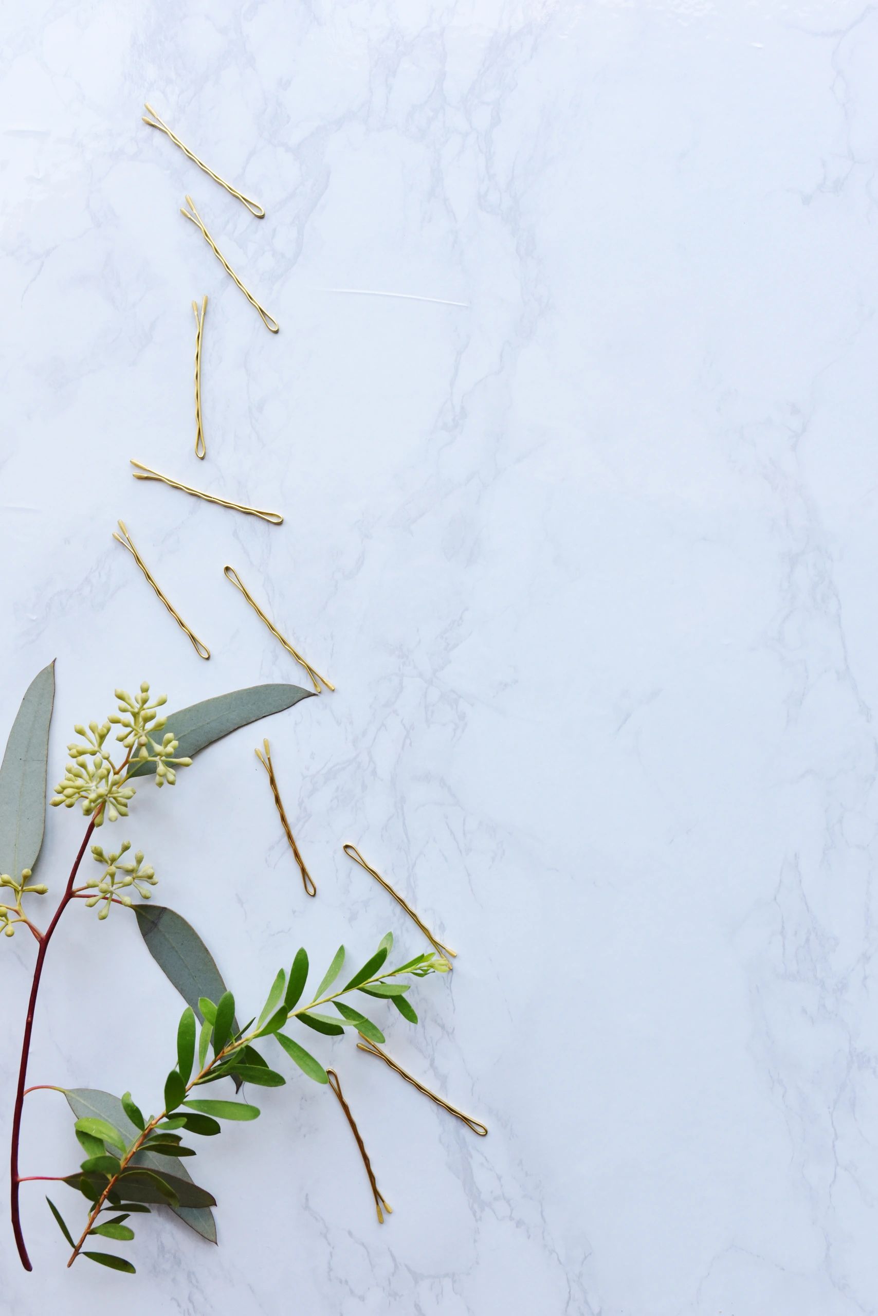 Golden Ash Salon & Co.