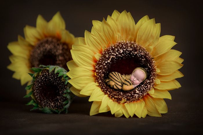 Images By Echo Photography