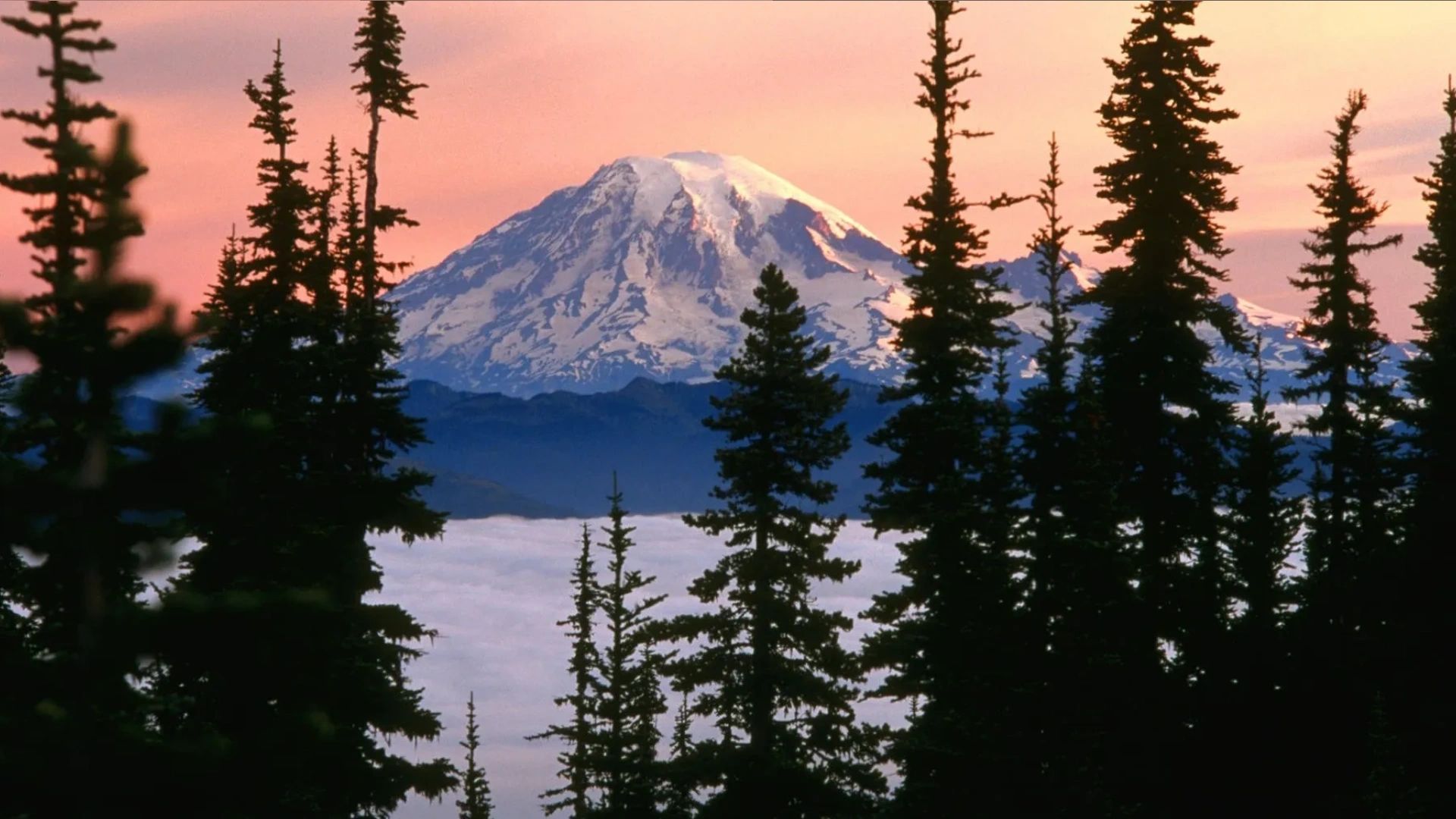 Matthew Gerrish Premier Real Estate Partners