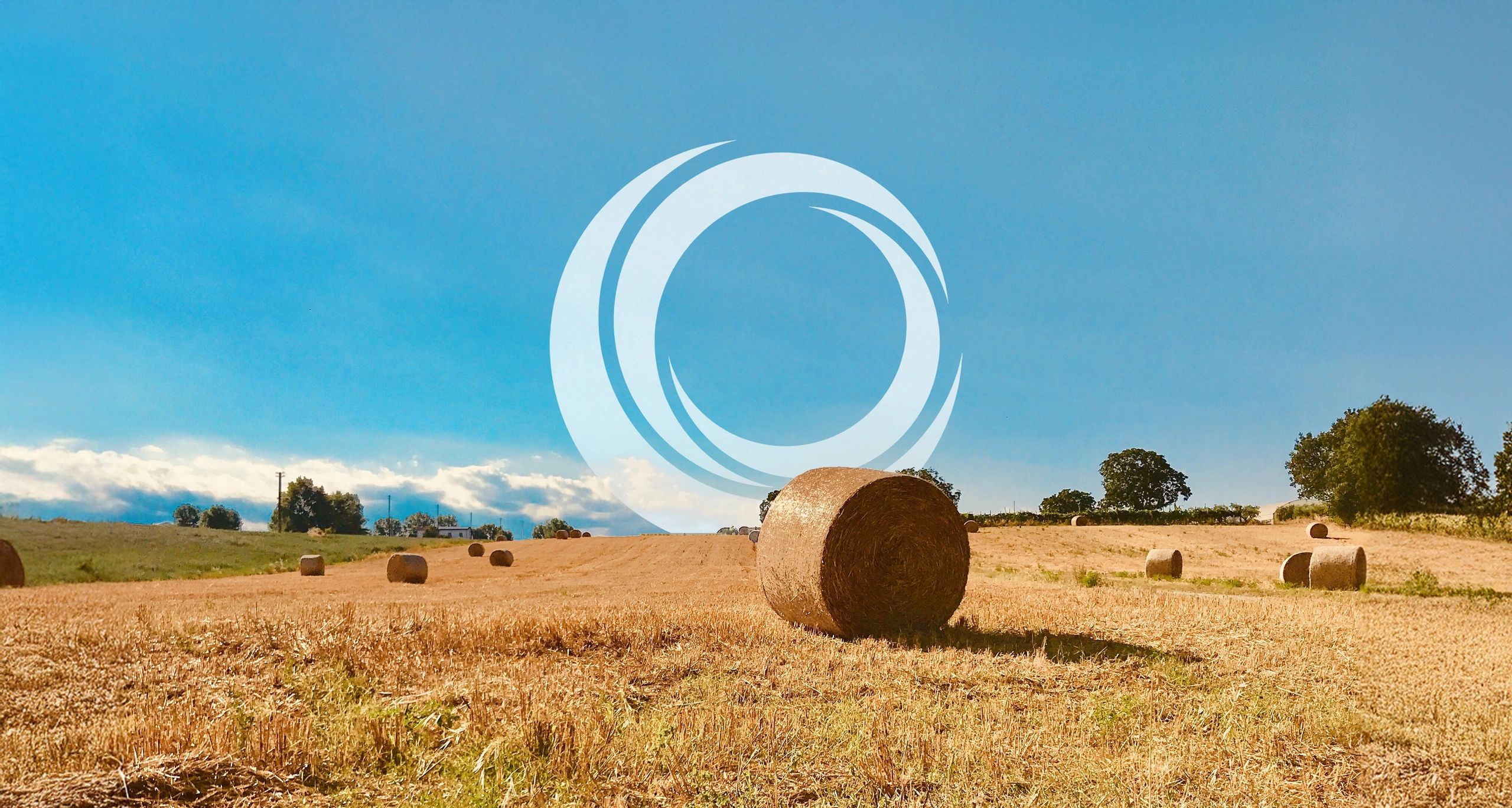 Earth Friendly Mycelium Packaging Solutions