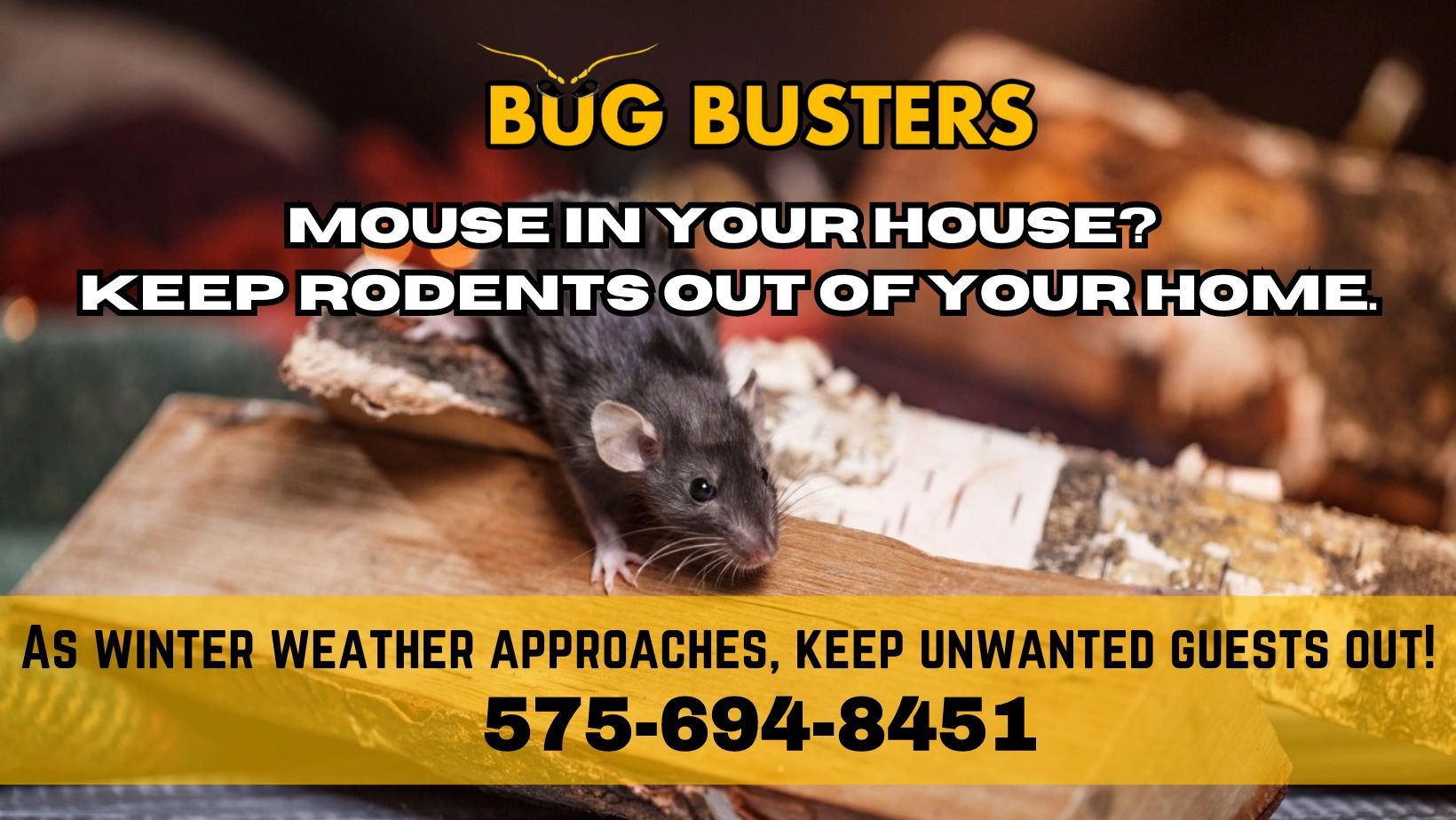 Bug Busters LLC - Pest Control Services, Pest Control, Exterminator