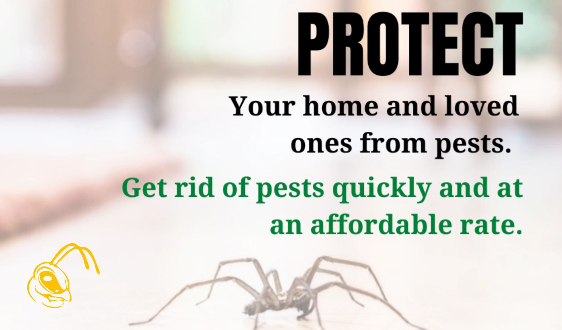 Bug Busters LLC - Pest Control Services, Pest Control, Exterminator