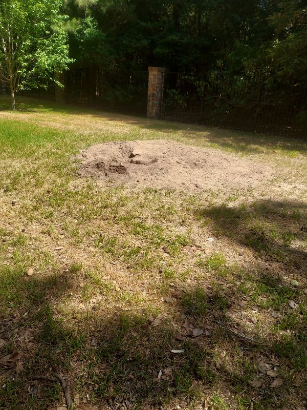 N2deep Stump Grinding TX | Expert Tree Stump Removal by N2deep