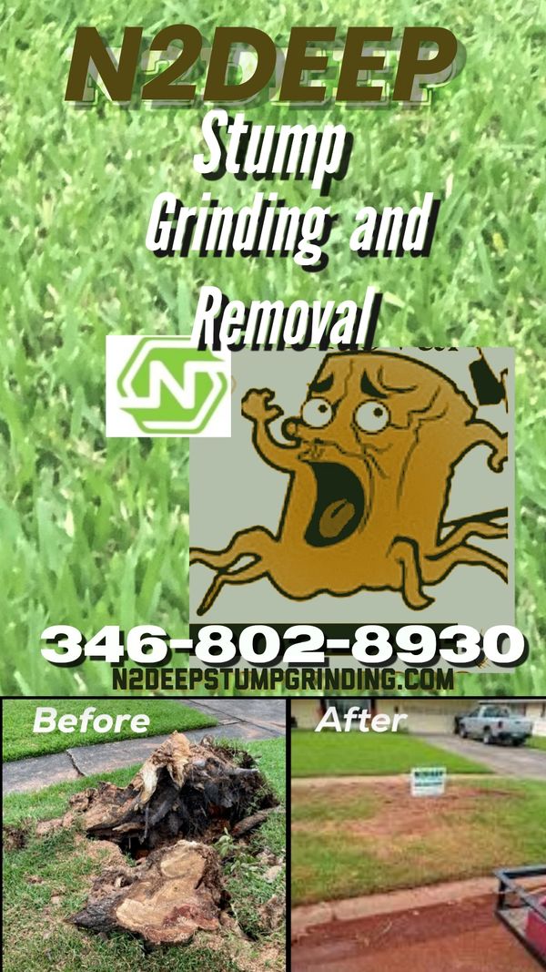 N2deep Stump Grinding and Removal in Houston, Texas