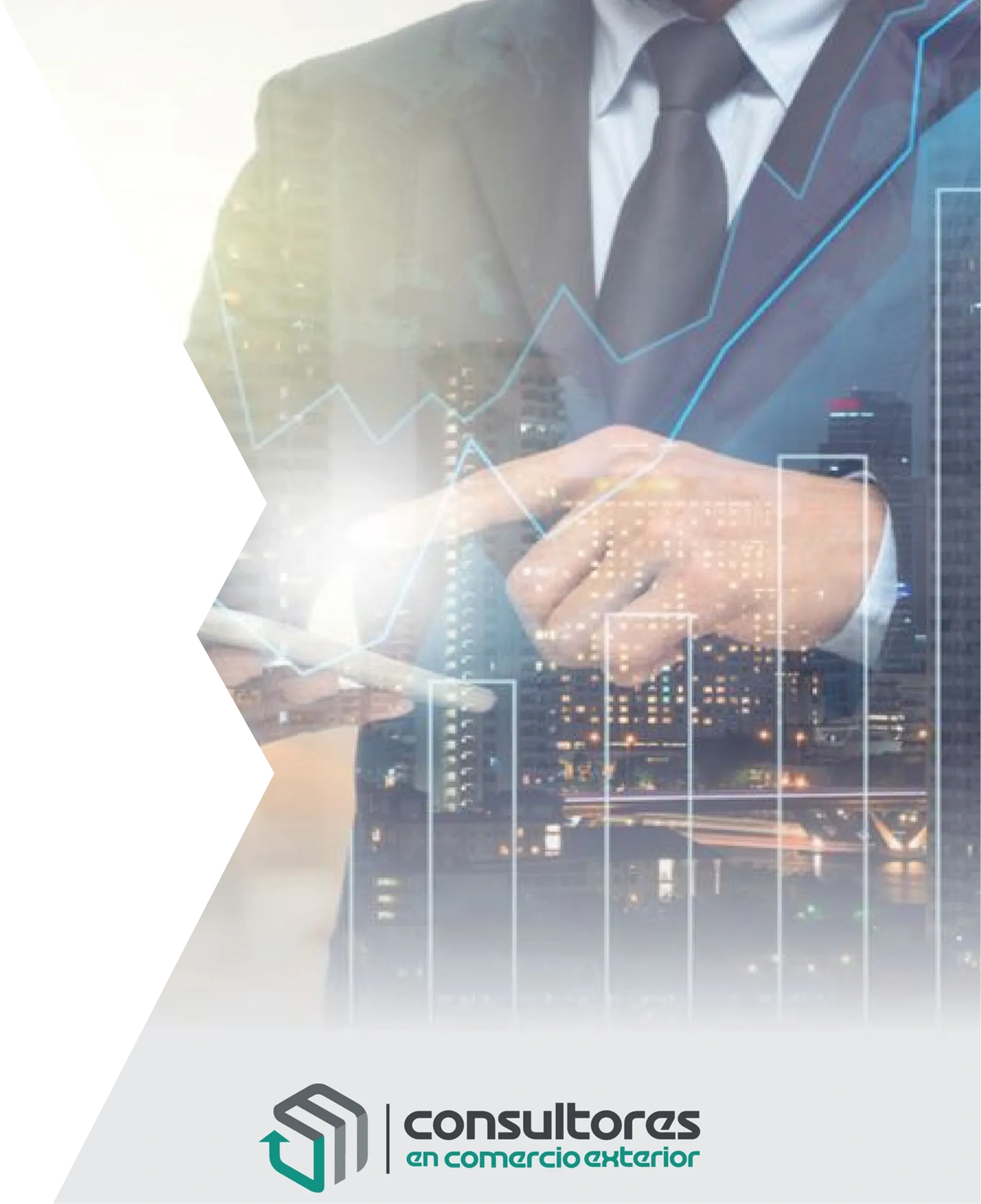 JE Consultores en Comercio Exterior