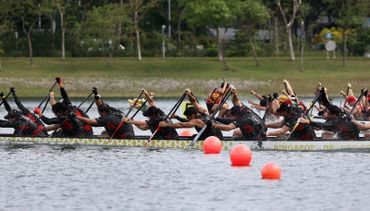 Photo Gallery | Latin Dragons