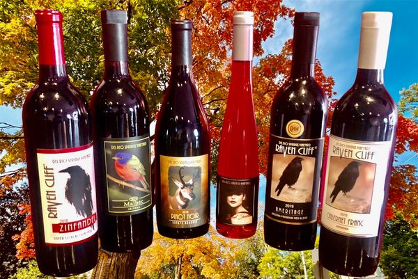 Delriospringsvineyard