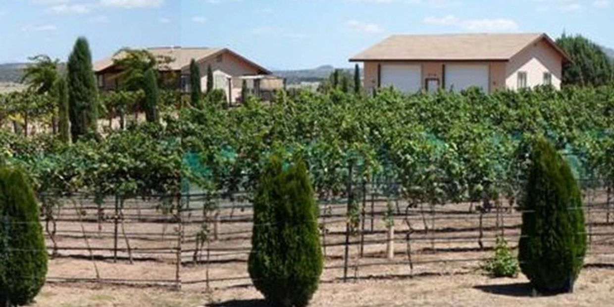 Delriospringsvineyard