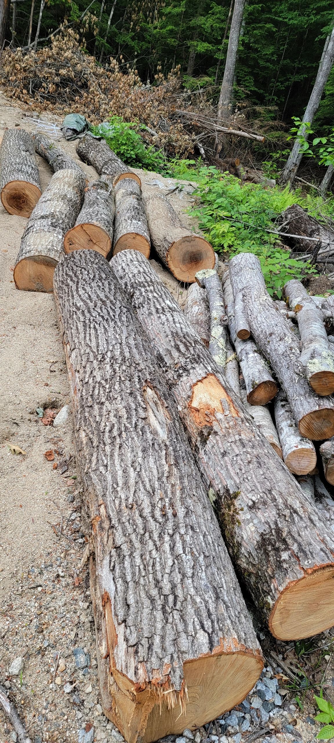 How We Source Our Logs