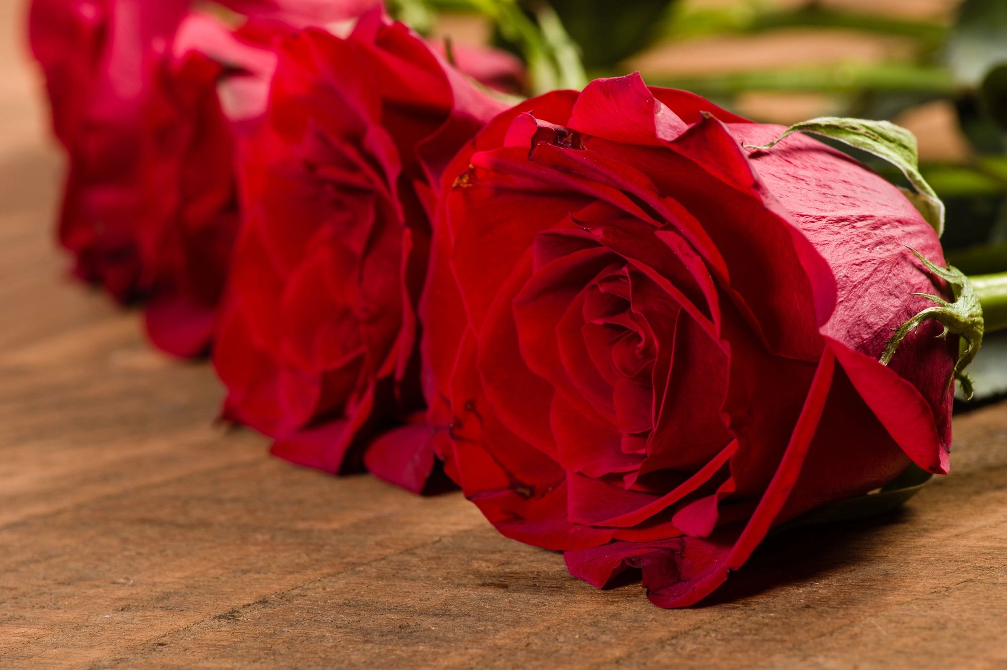 Home [www.thebushshimpling.co.uk]