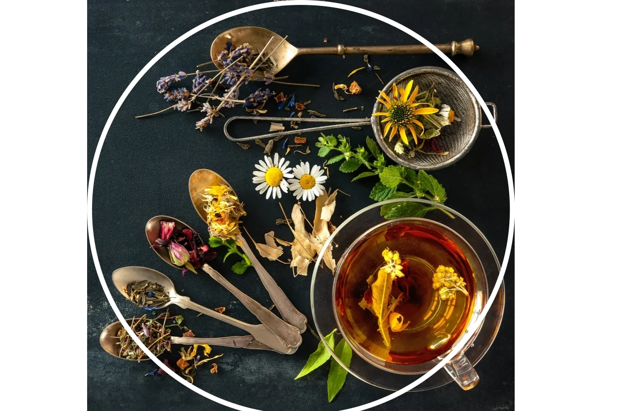 Herbal Expert South Africa