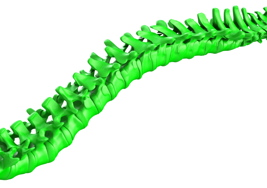 CERVICAL SOLUTIONS