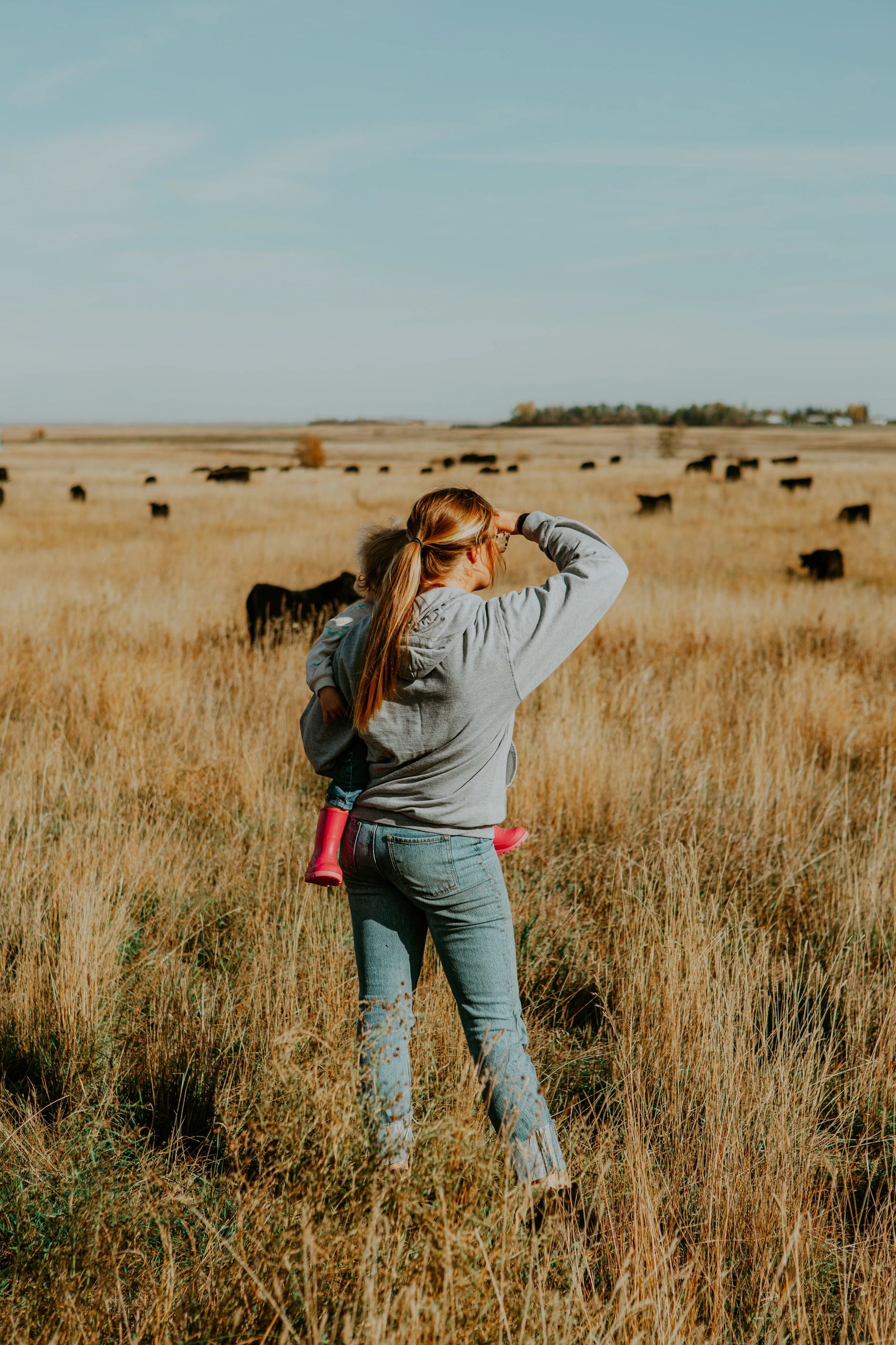 Welcome to the Flaghill Ranch BLOG