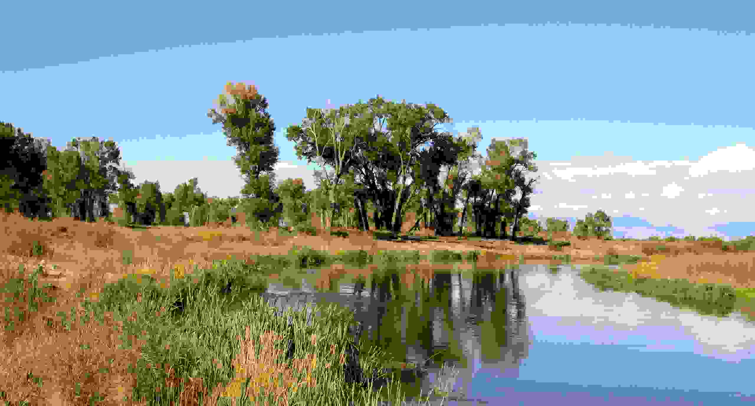 Streambank Stabilization | Rio Grande Headwaters Restoration Project