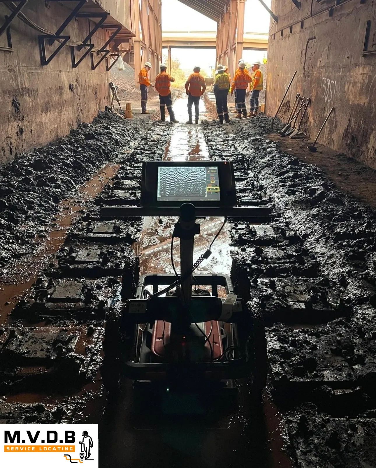 MVDB Service Locating