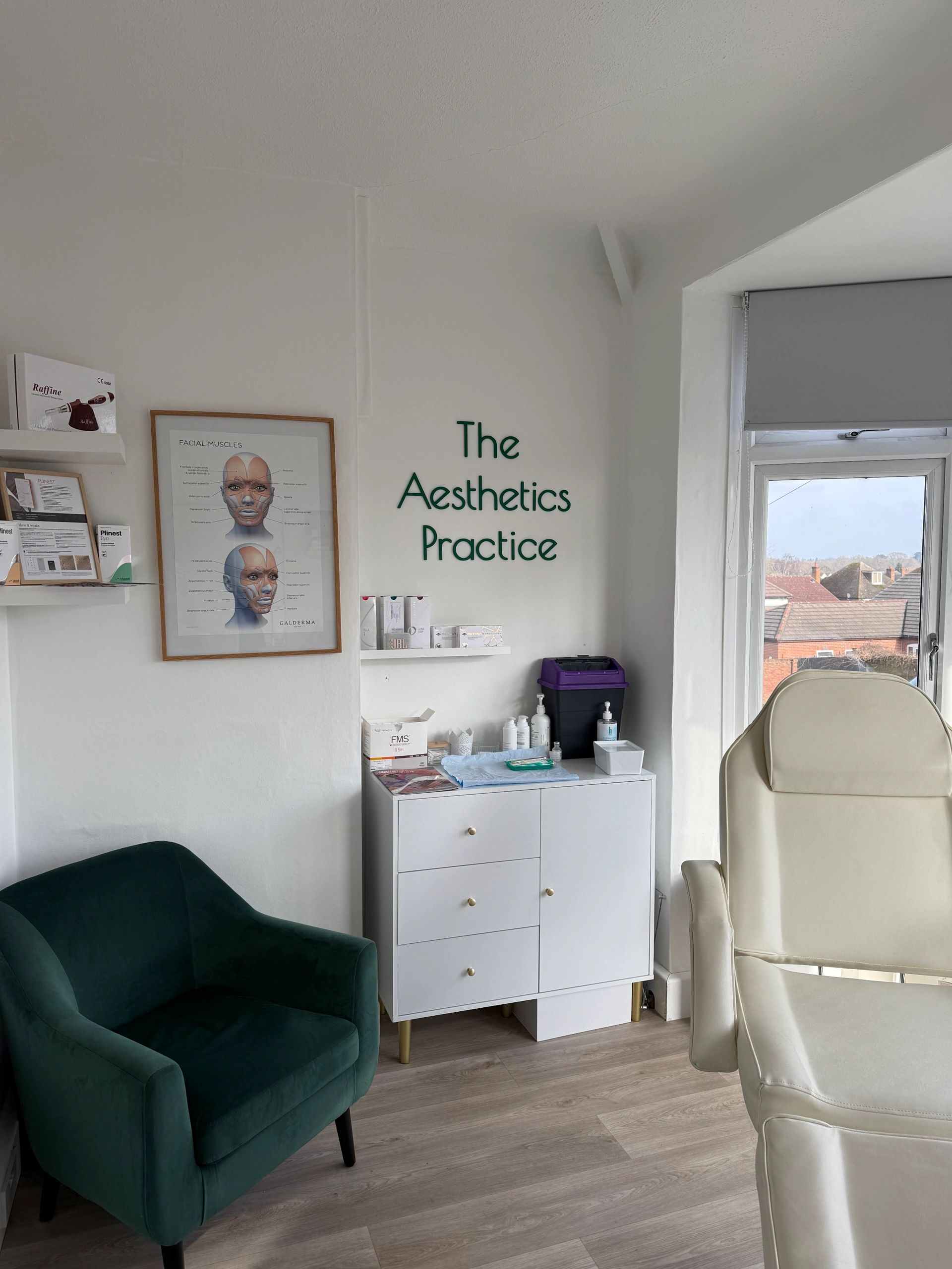 The Aesthetics Practice