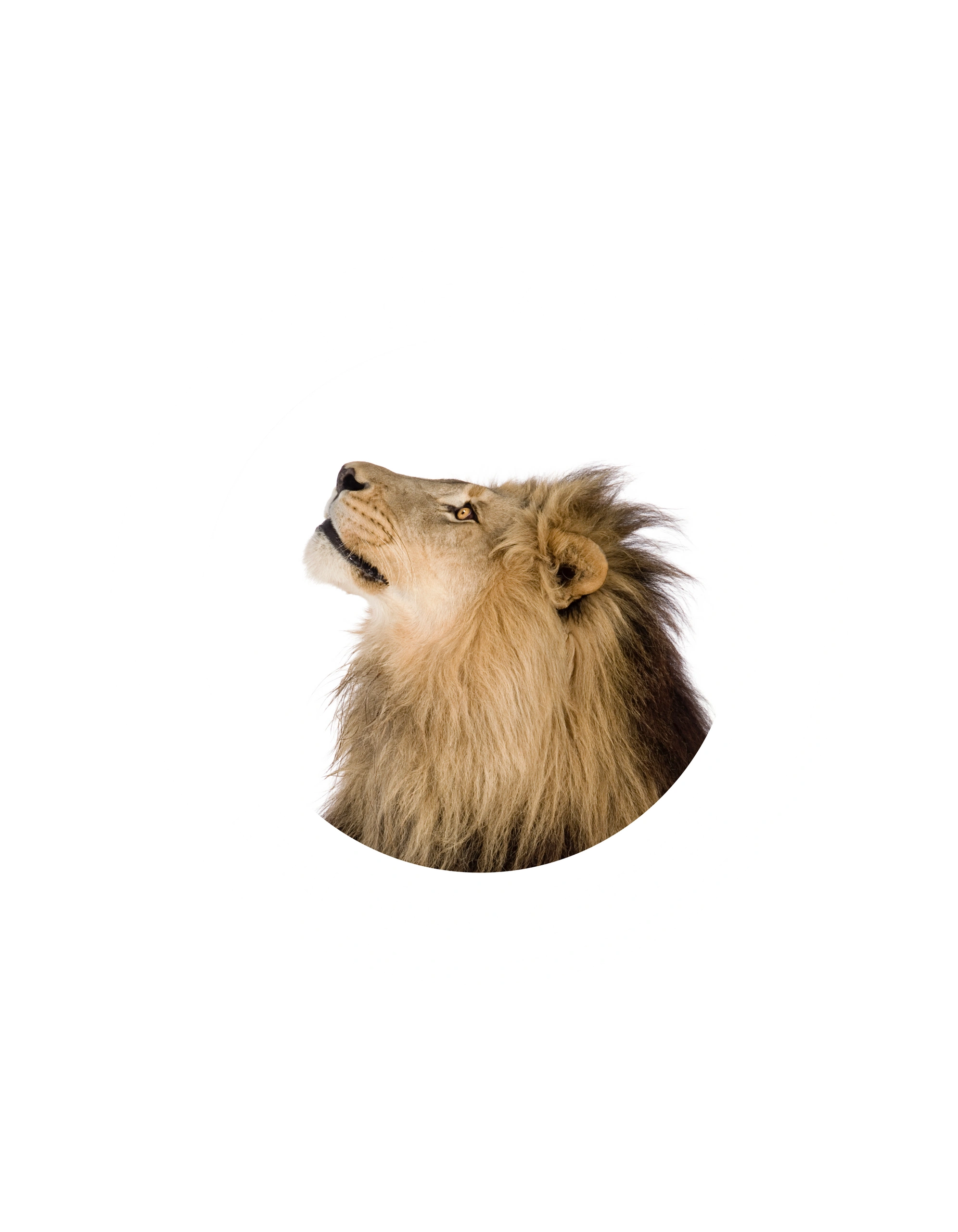 Joshua 19 Store