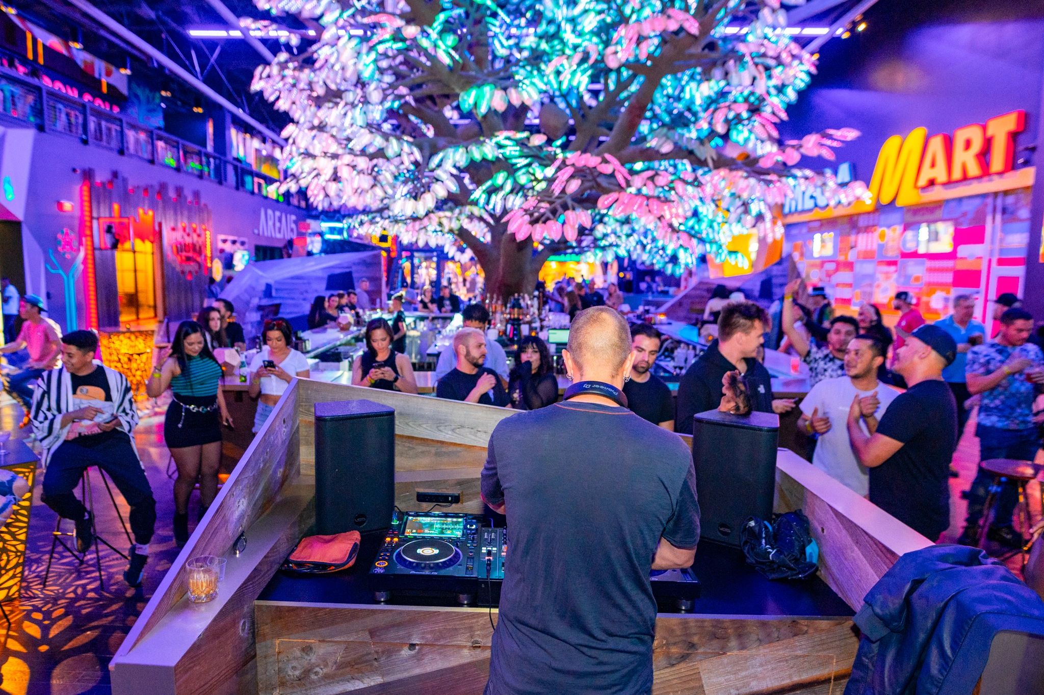 Club Dj, Rave Dj, Burning Man Dj - DjShifta