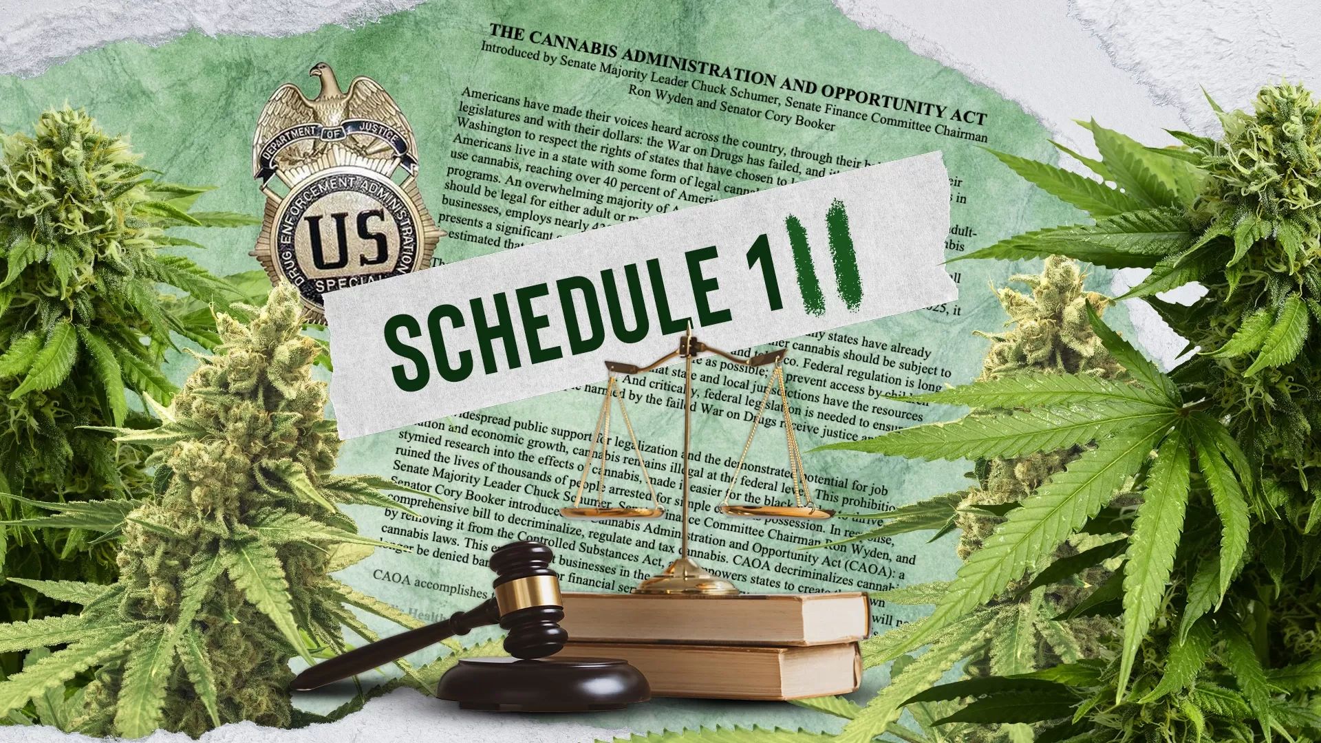 The Truth About Cannabis Reclassification.