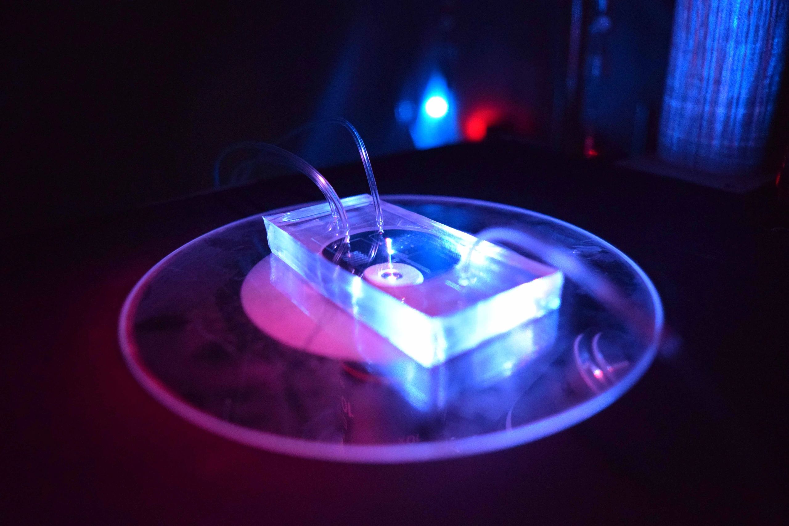 Glass microfluidic chips | Roperlab