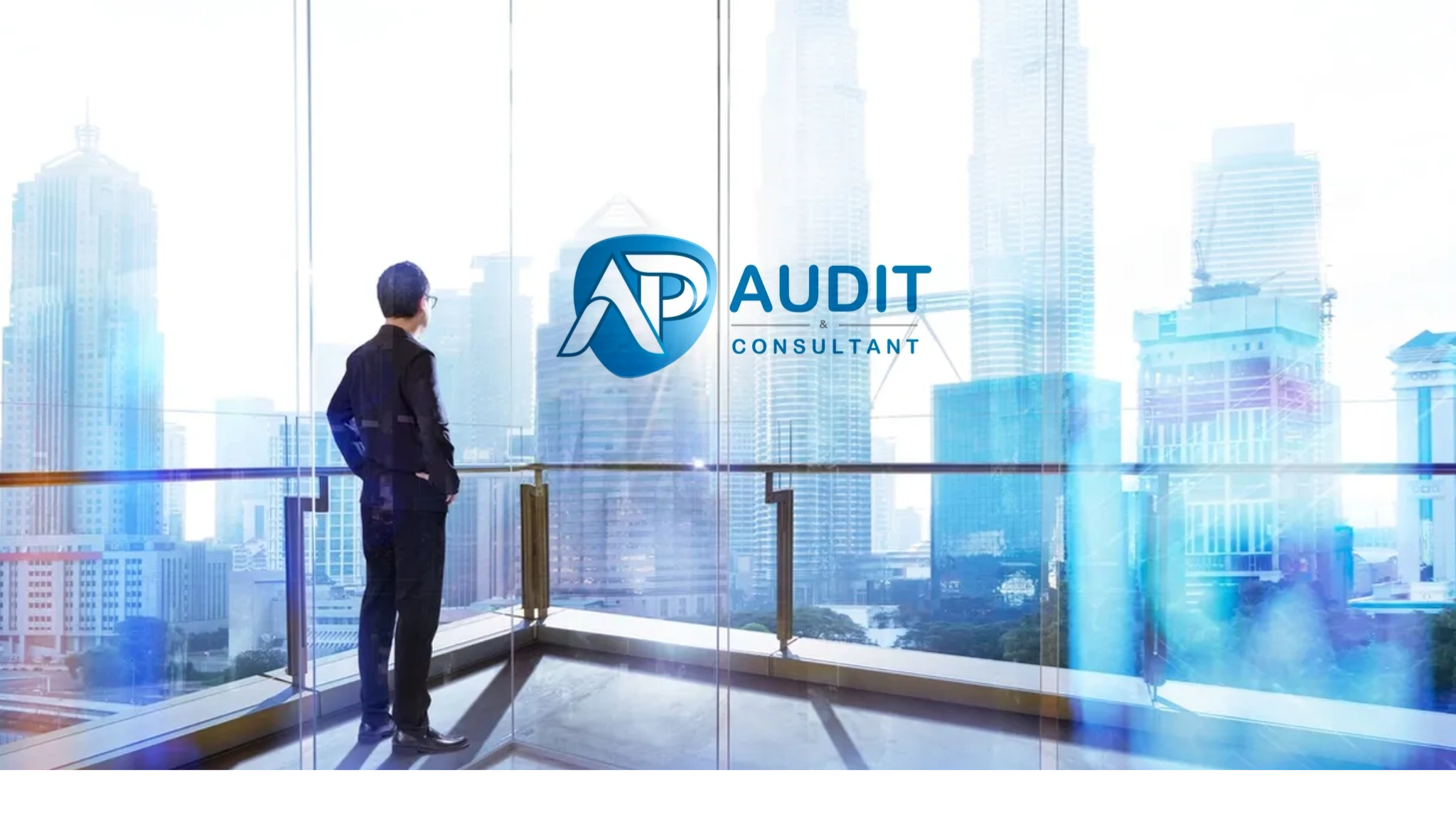 AUDIT AND CONSULTANT