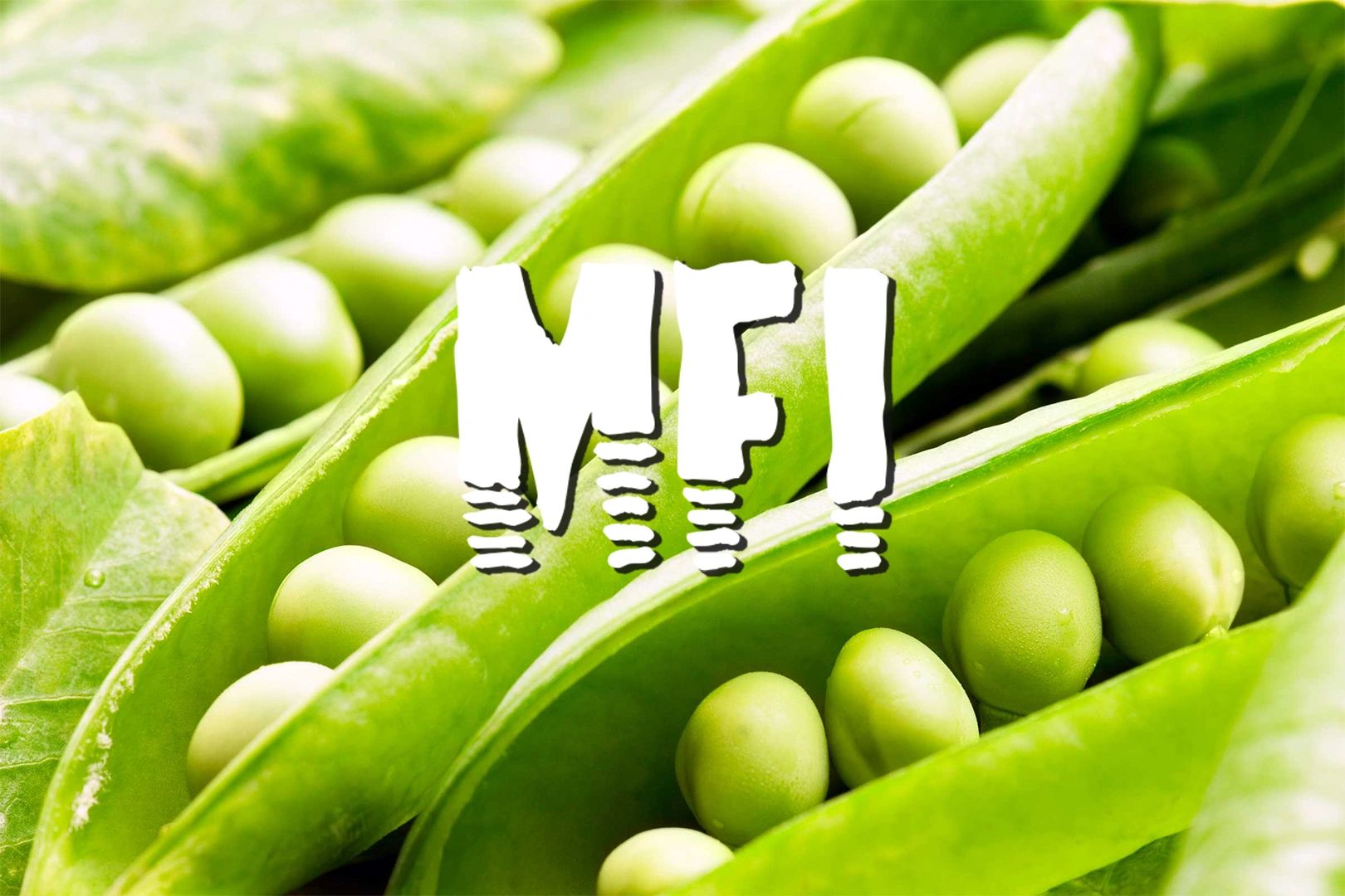 CONTACT | MFI FOODS