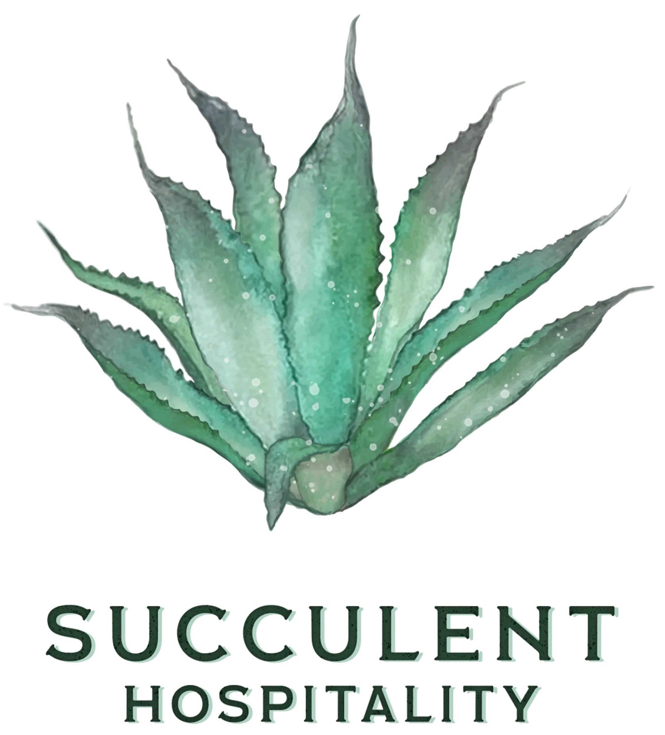 HOME [succulenthospitality.com]