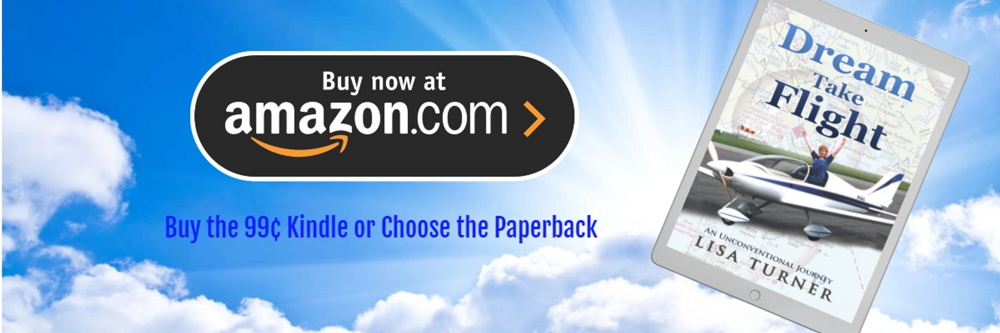 Dream Take Flight - Lisa Turner