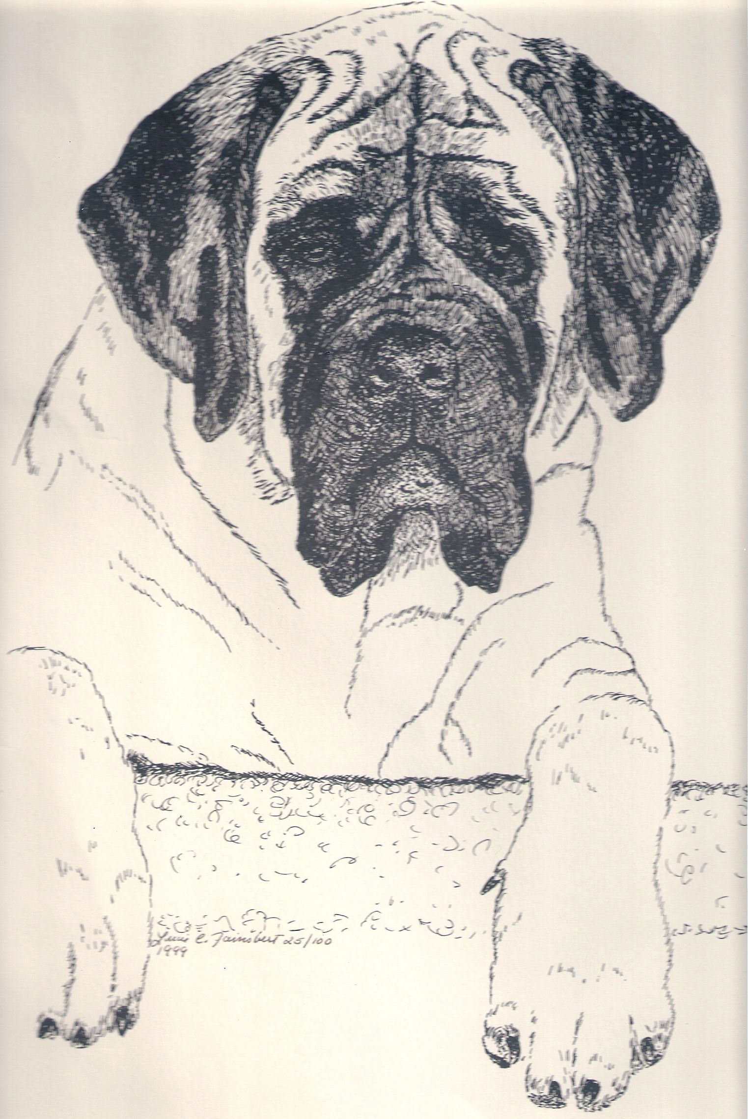 Mastiff Rescue of Virginia - English Mastiff Rescue, Mastiff Rescue