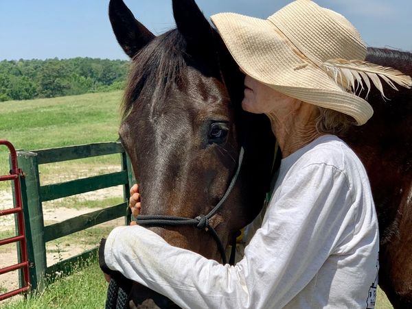 Aiken Equine Rescue - Aiken Equine Rescue, Horse Rescue