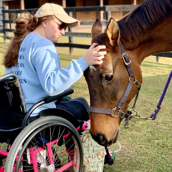 Aiken Equine Rescue - Aiken Equine Rescue, Horse Rescue