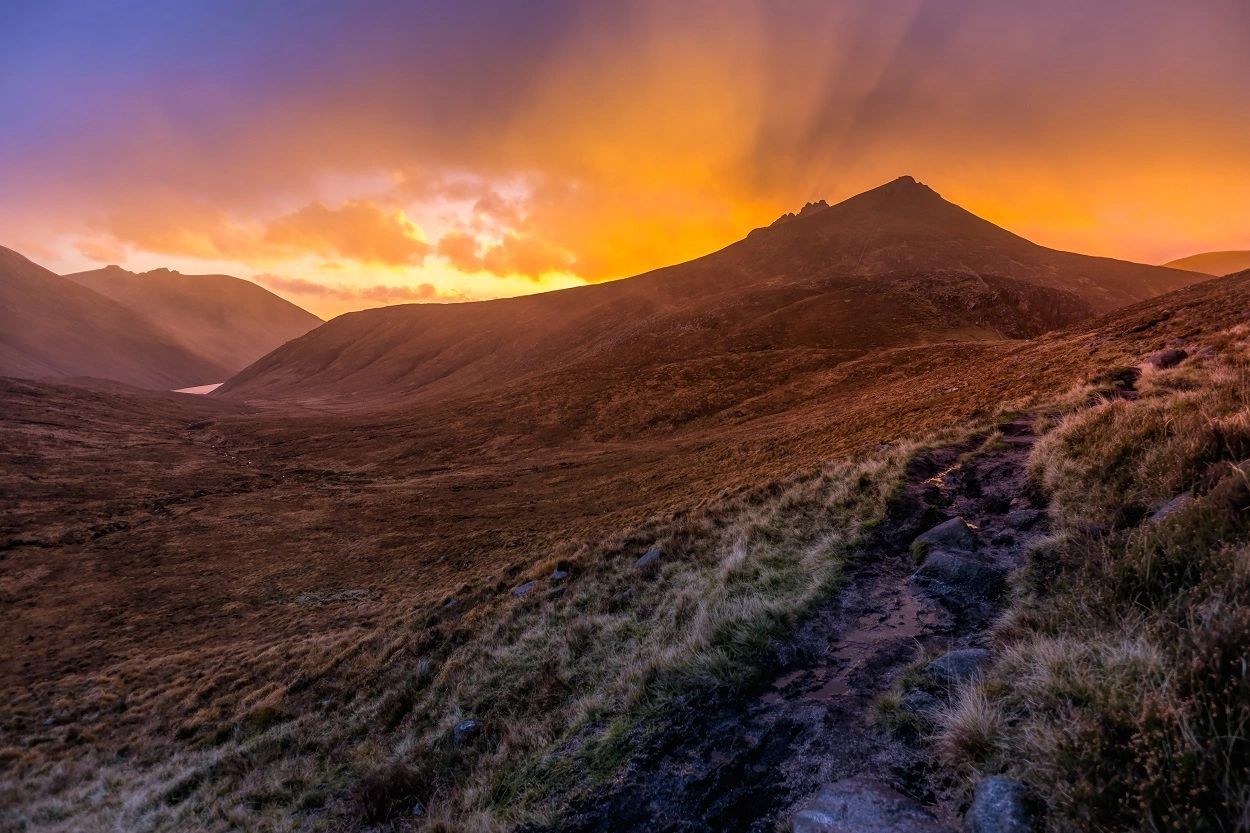 The Mourne Collection