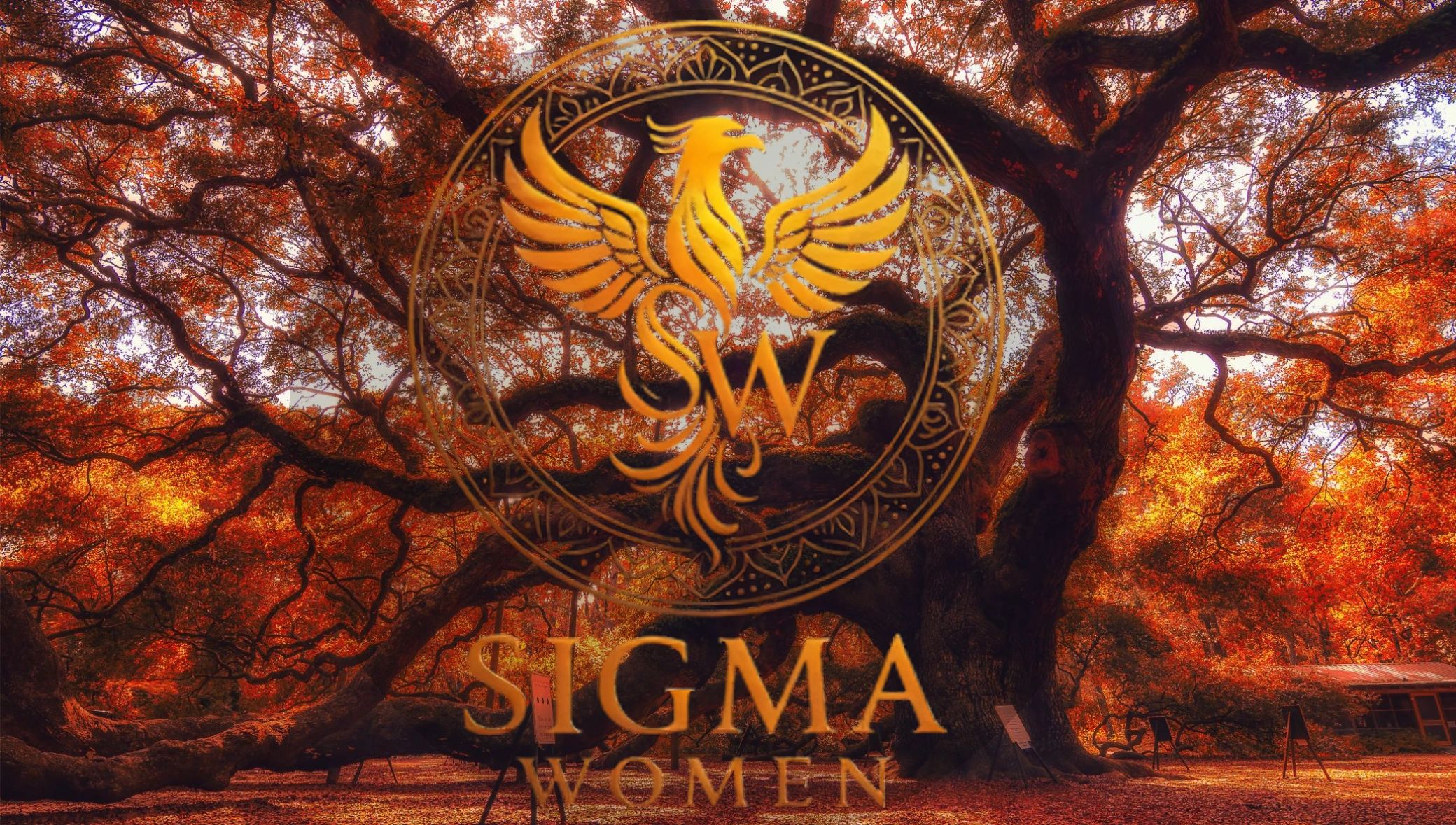 The Sigma Women