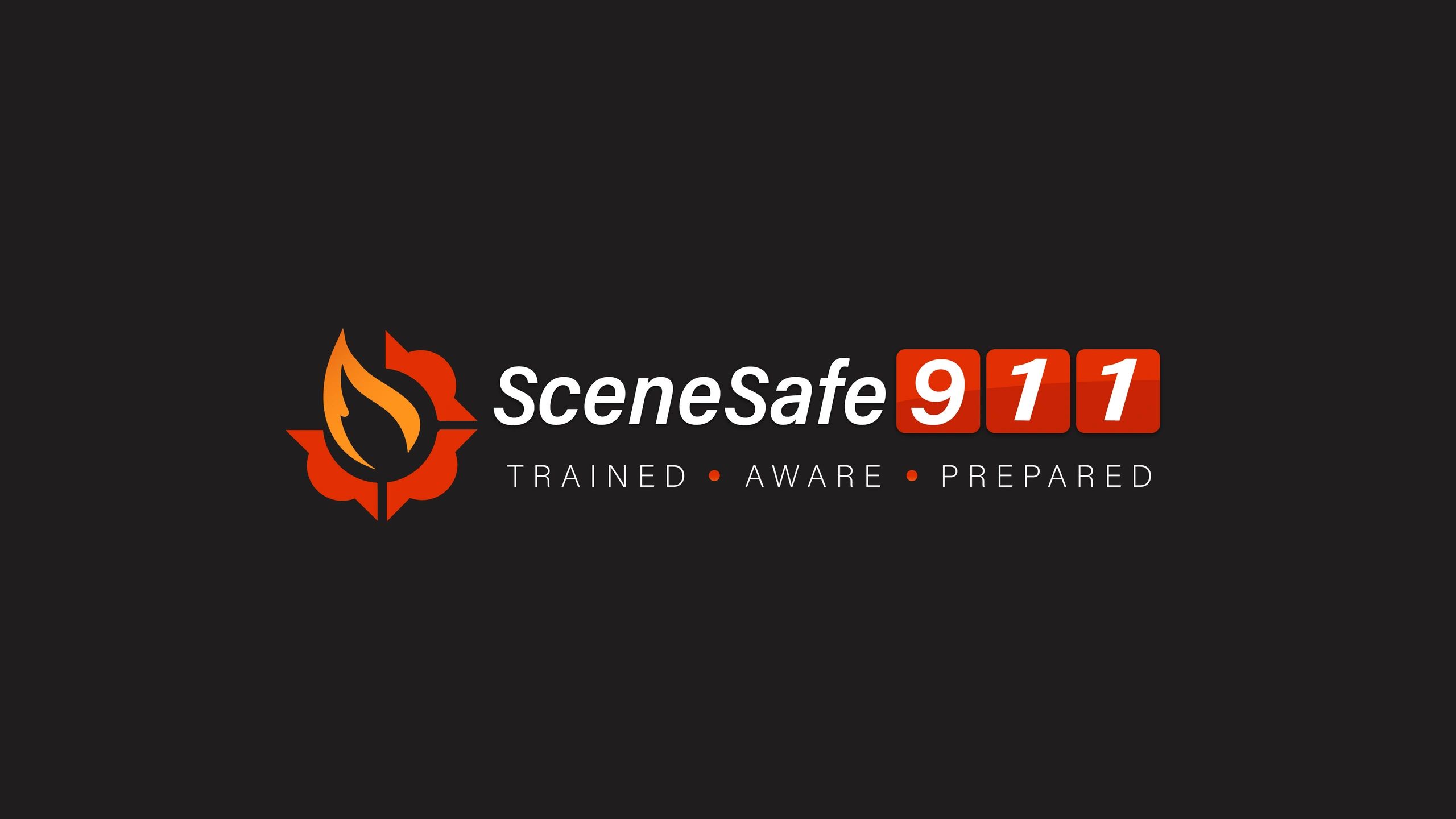 Scene Safe 911
