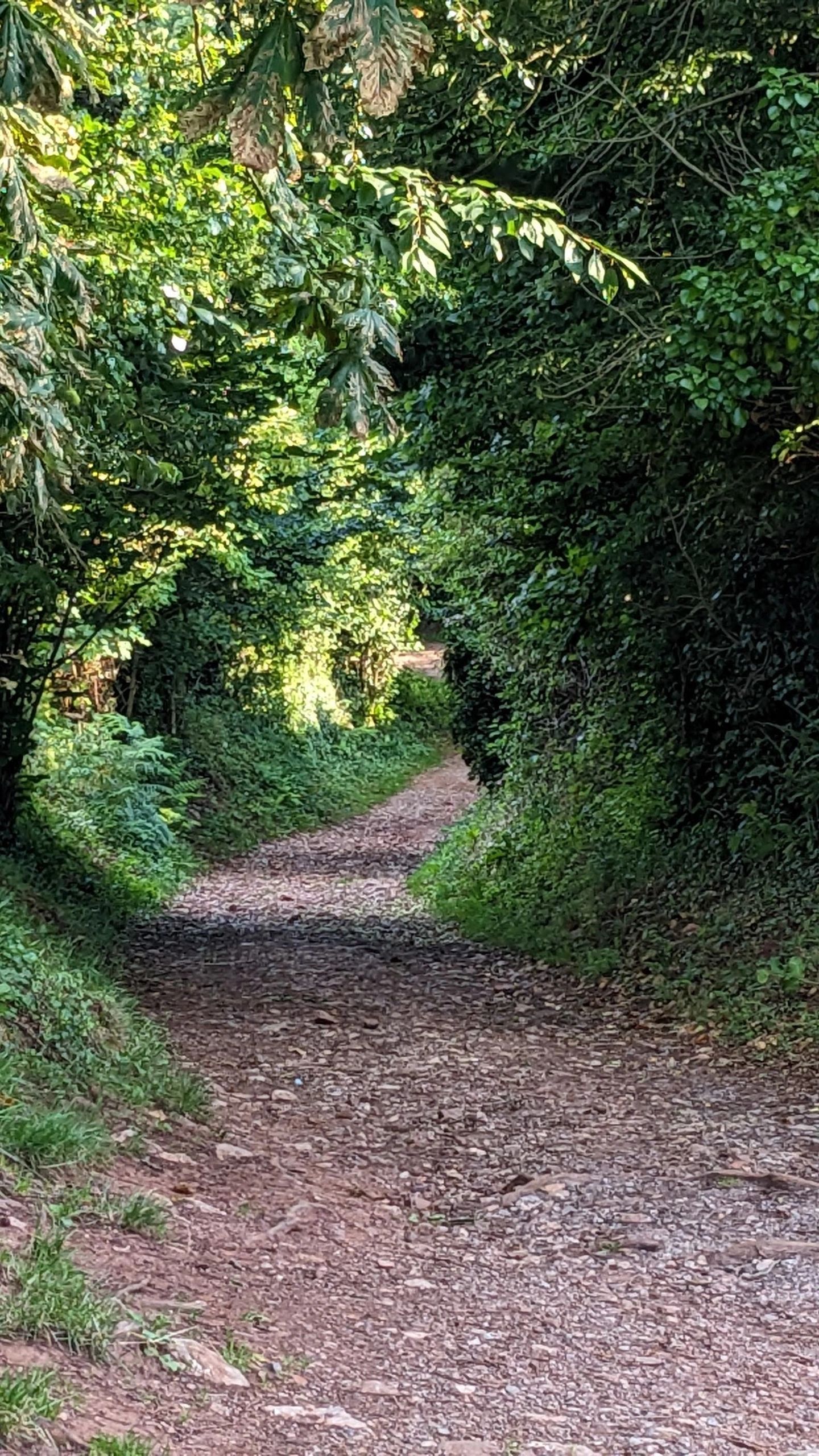 Cockington Geo Walk gravel path