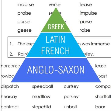 LiteraSee Concepts Illustrated - Dyslexia, Reading Program