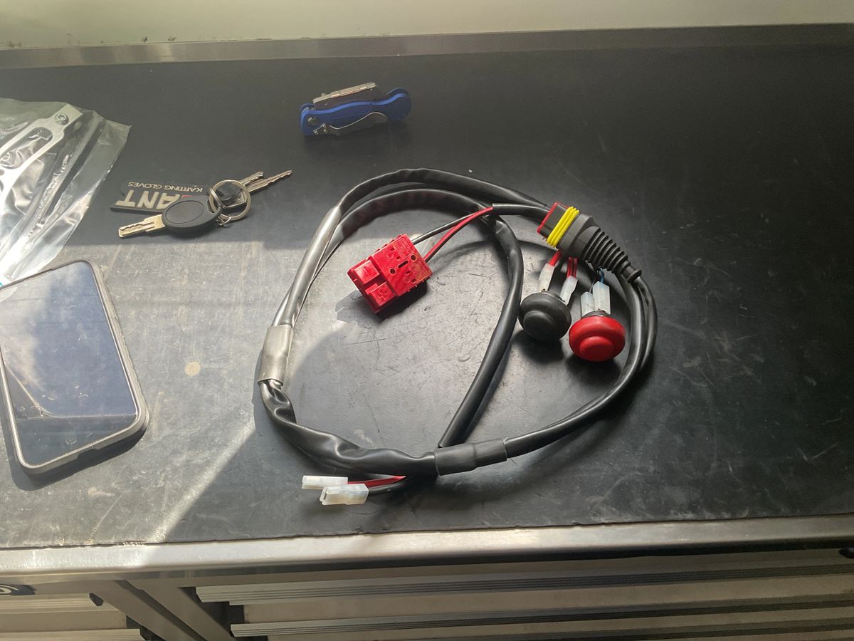 IAME Wiring Loom Digi-S (22mm Buttons)