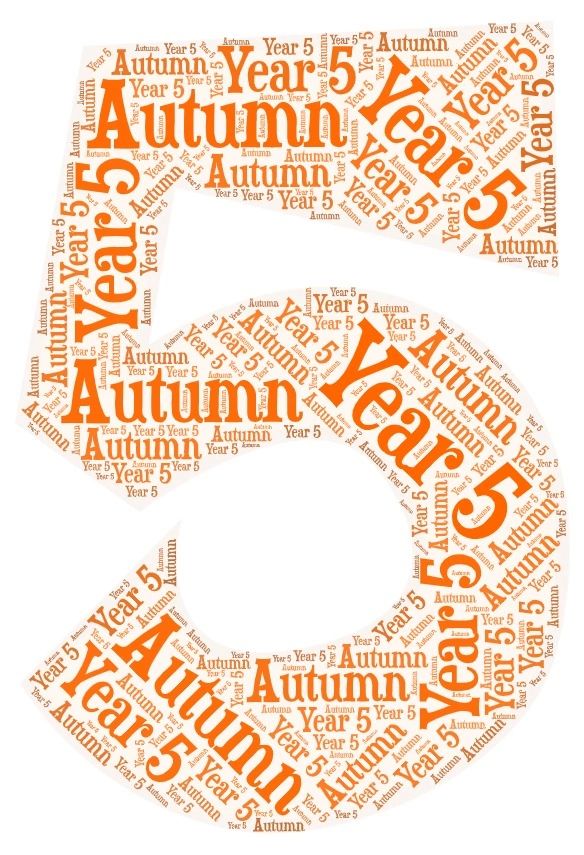 Year 5