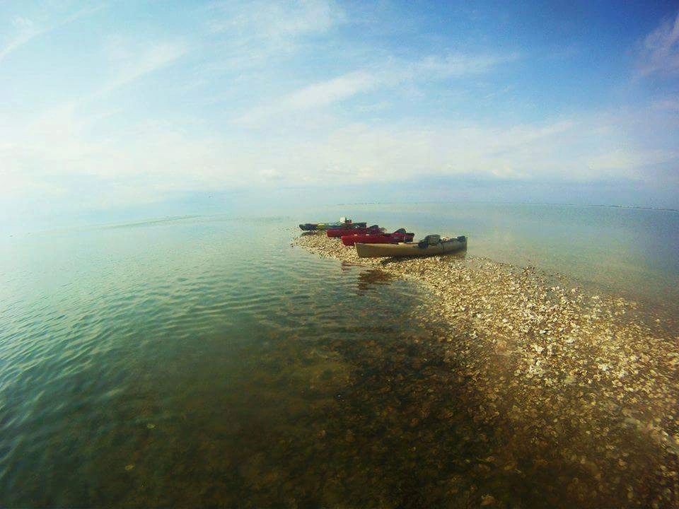 Beach Town Tours - Houston Coast Kayak Tours