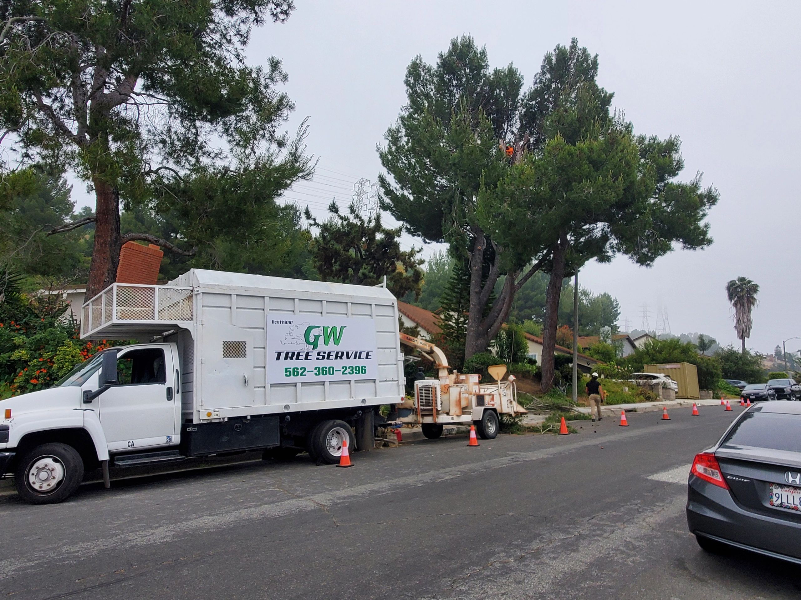 GW Tree Service