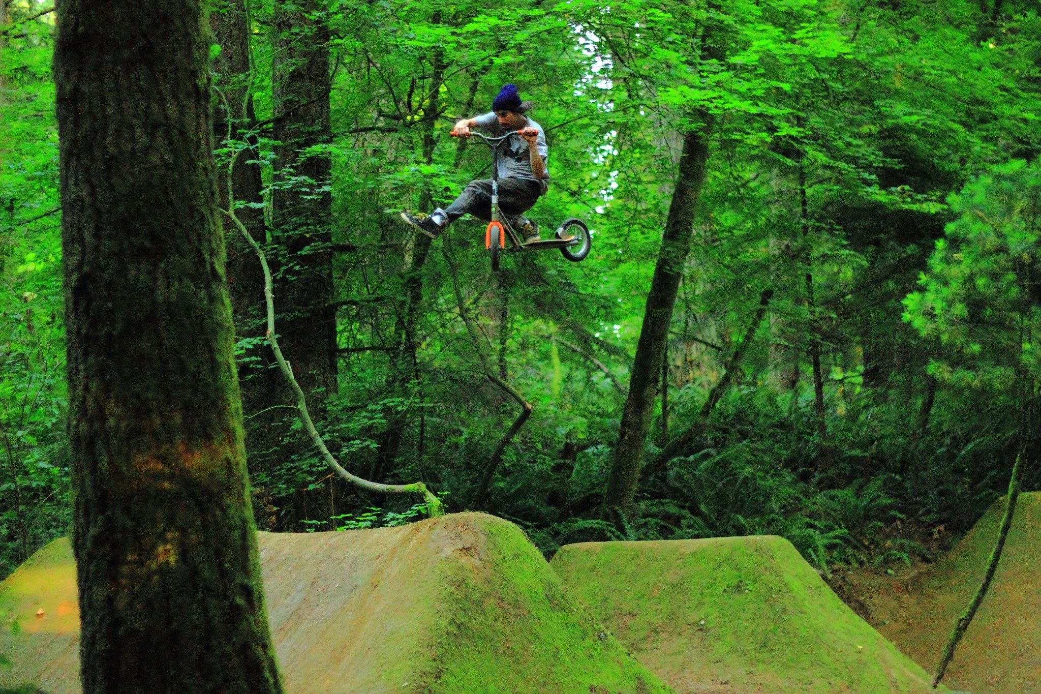 Explore Our Durable Rad Bars for Ultimate Performance