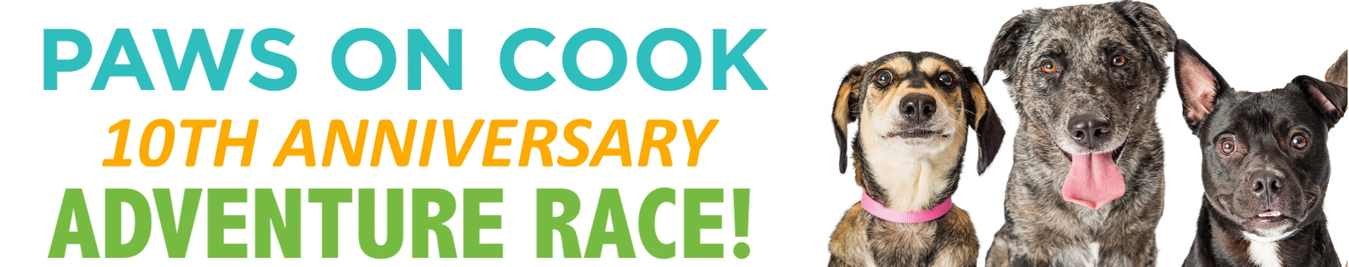 Paws on Cook Pet Store - Pet Shop, Pet Store, Pet Supplies