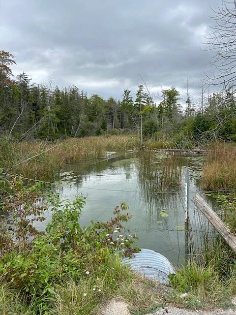 Of Watersheds and Wetlands