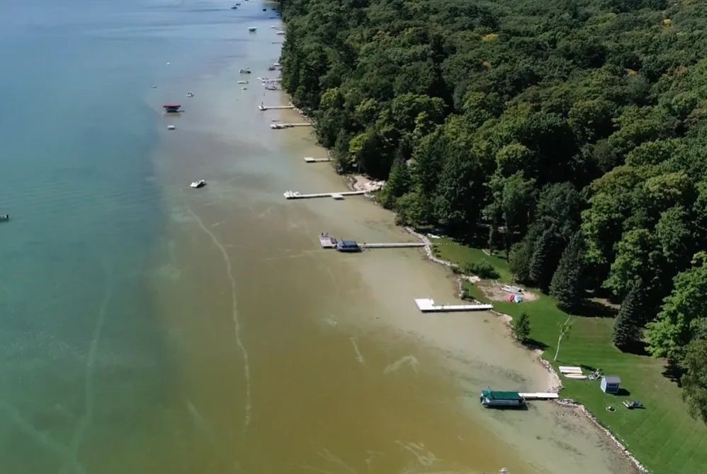 What to know about golden brown algae