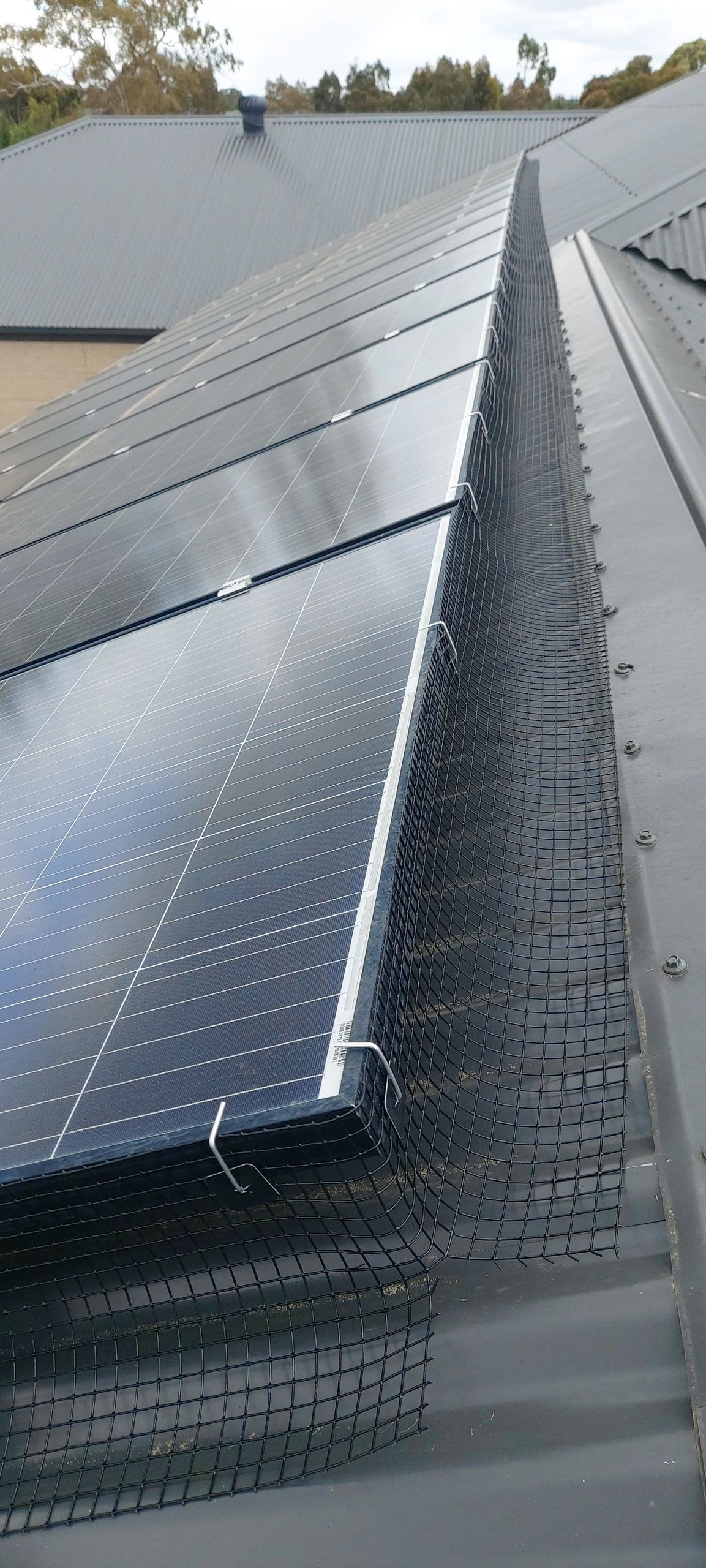 Solar Bird Proofing Solutions for Panel Protection