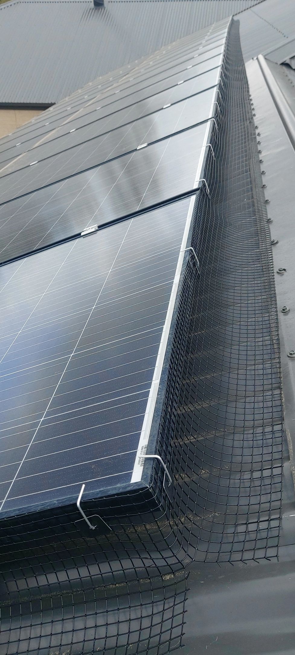 Solar Bird Proofing Solutions for Panel Protection