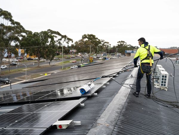 Solar Bird Proofing Solutions for Panel Protection